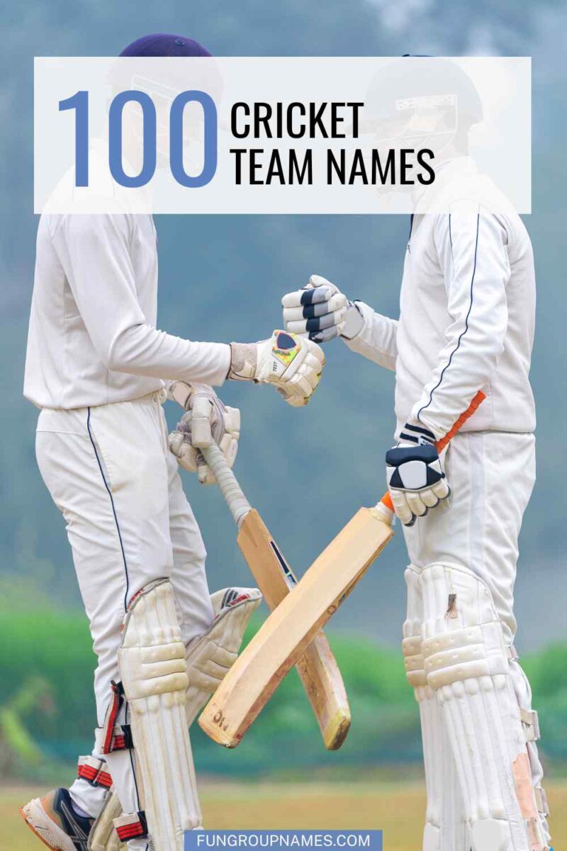 100 Creative Cricket Team Names!