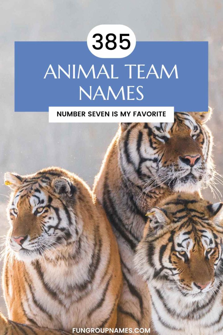385 Creative Animal Team Names