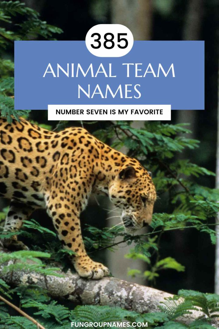 385 Creative Animal Team Names