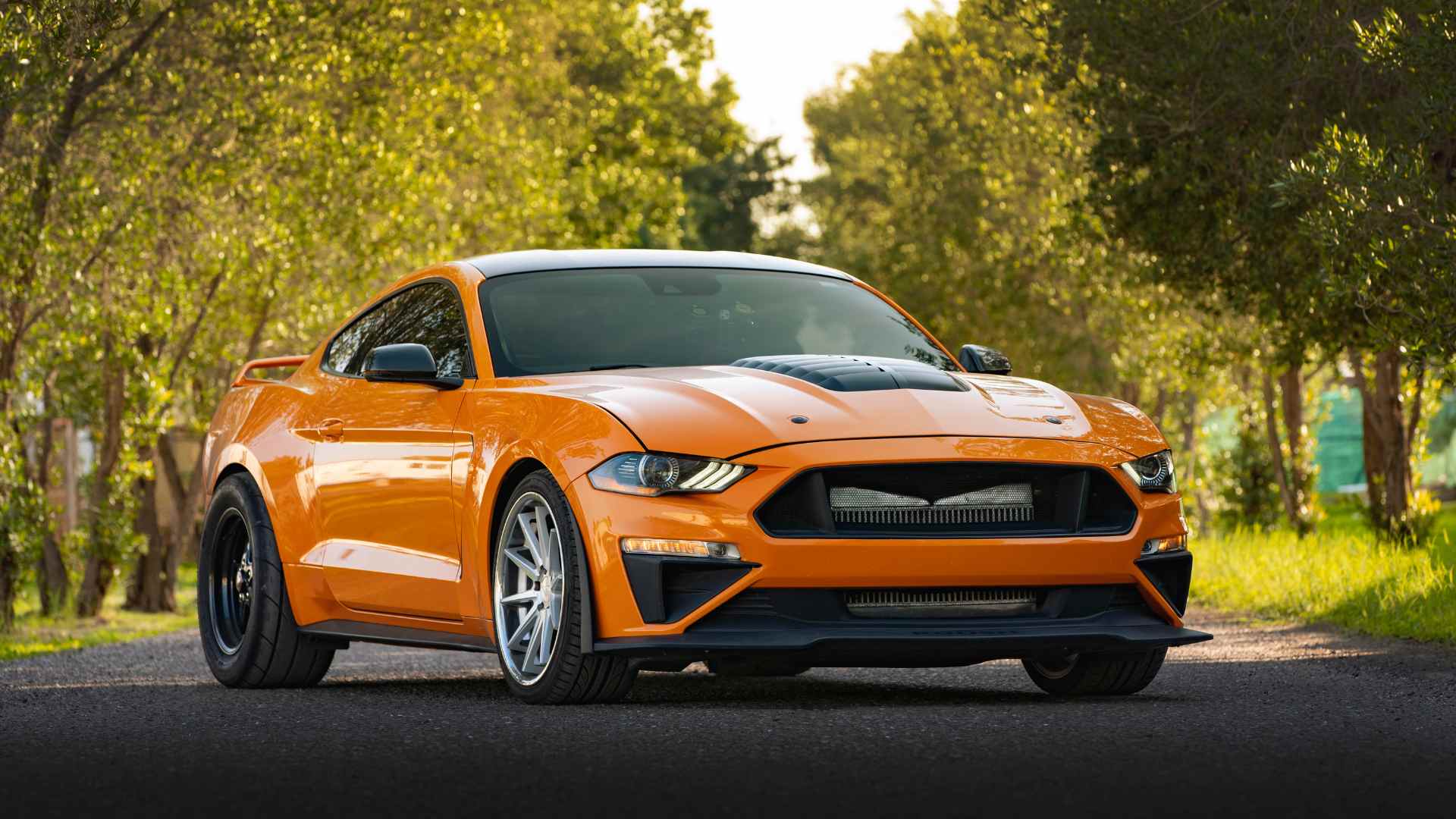 385 Creative Car Club Names!