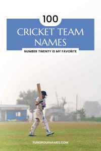 100 Creative Cricket Team Names!