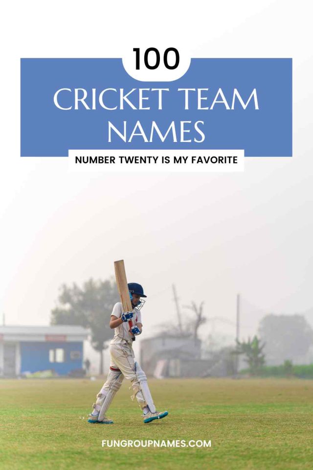 100 Creative Cricket Team Names!