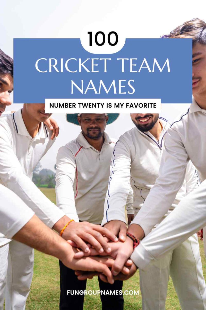 100 Creative Cricket Team Names!