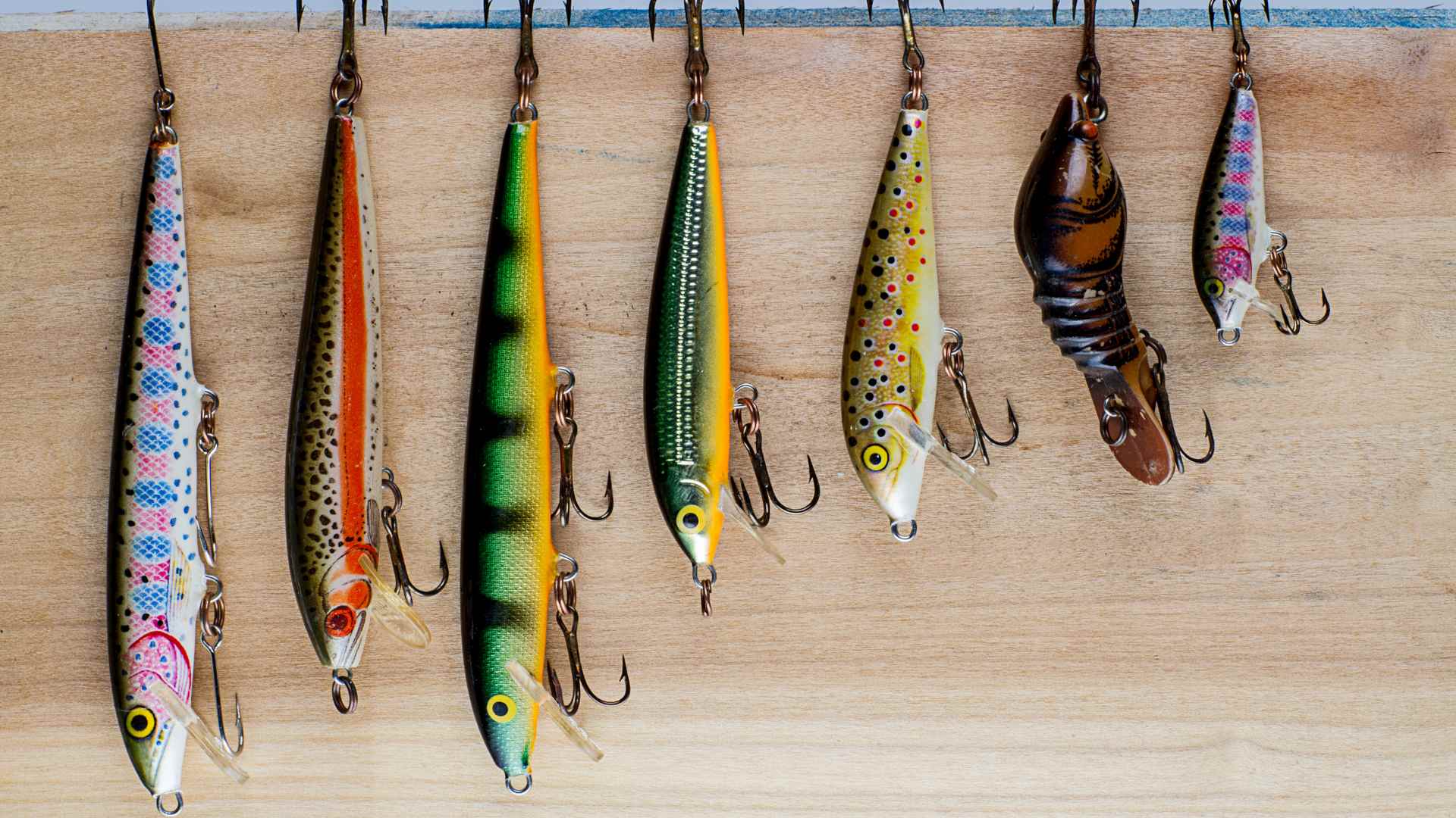 385 Fun Fishing Team Names