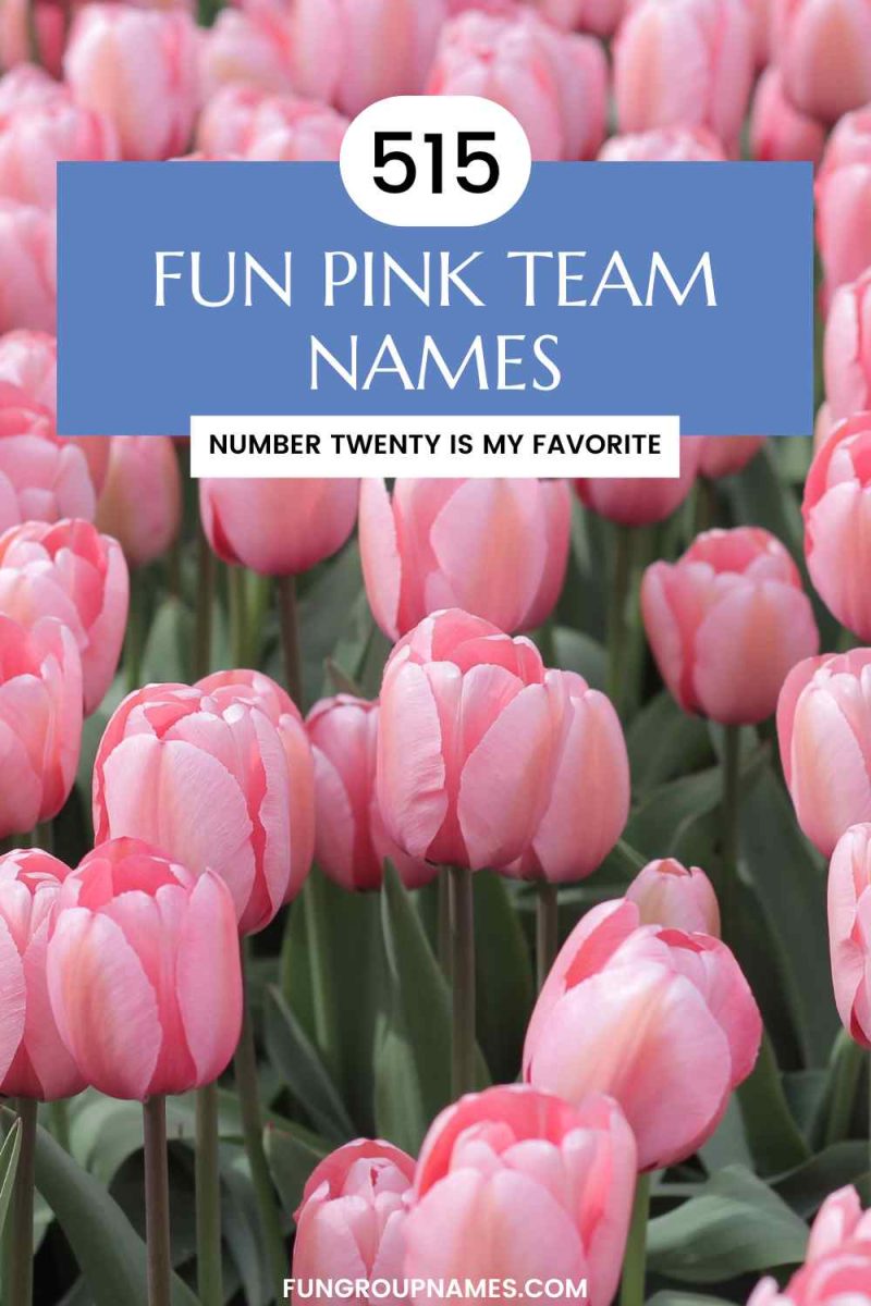 515 Fun Pink Team Names!
