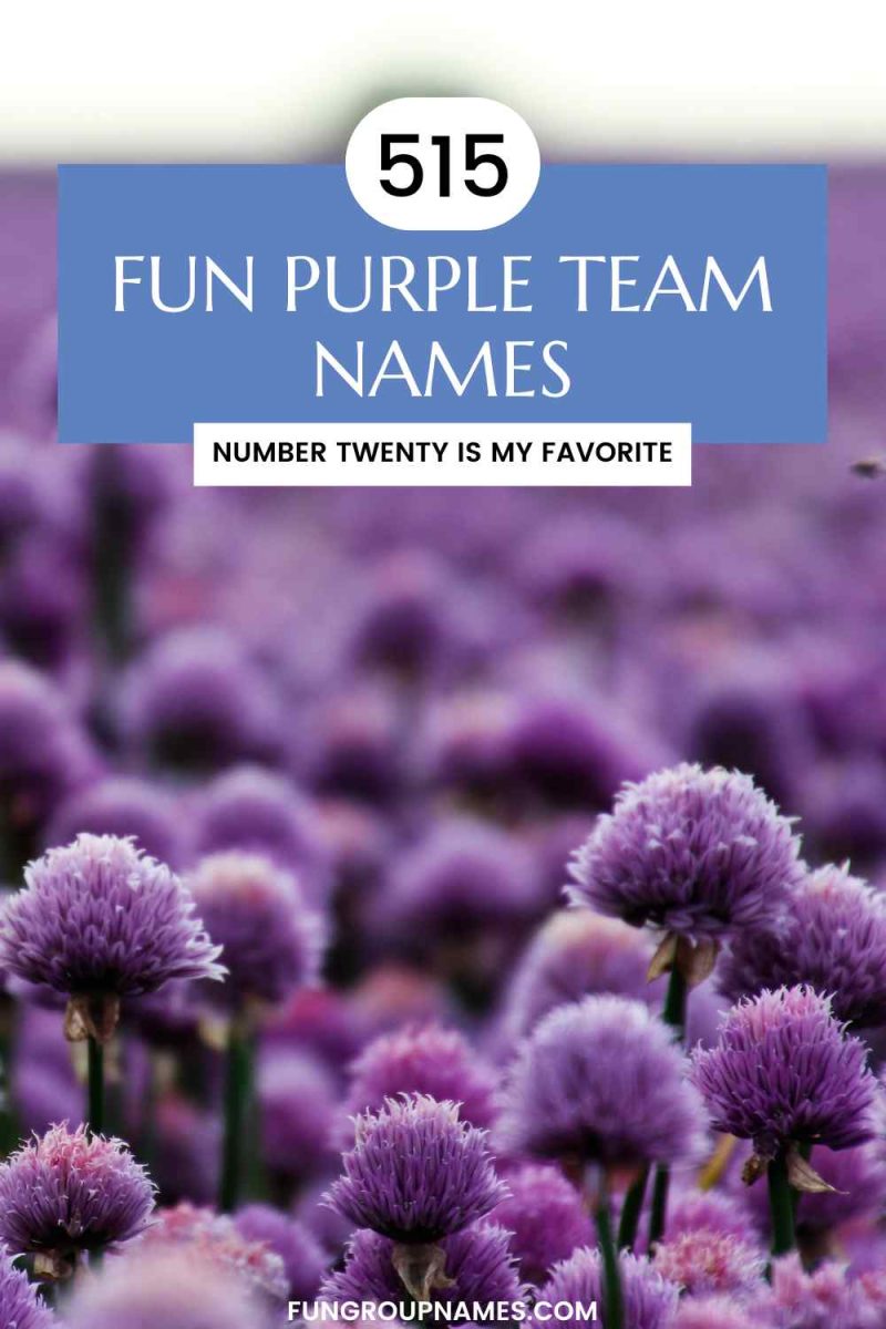 515 Perfect Purple Team Names!
