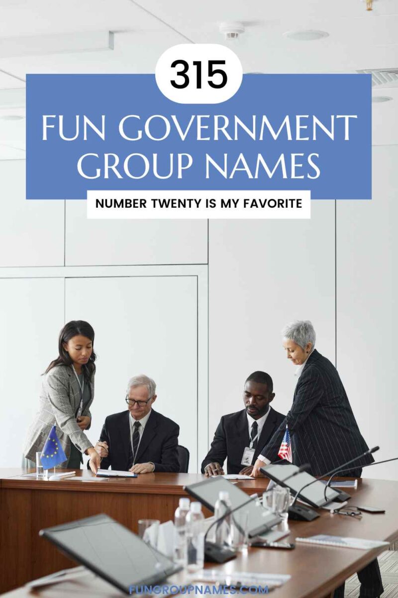 315 Clever Government Group Names