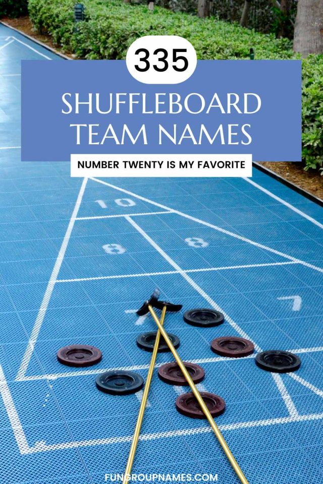 335 Shuffleboard Team Names For Everyone!