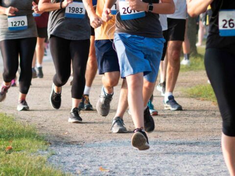 245+ Creative Thanksgiving Team Names for Your Festive Fun