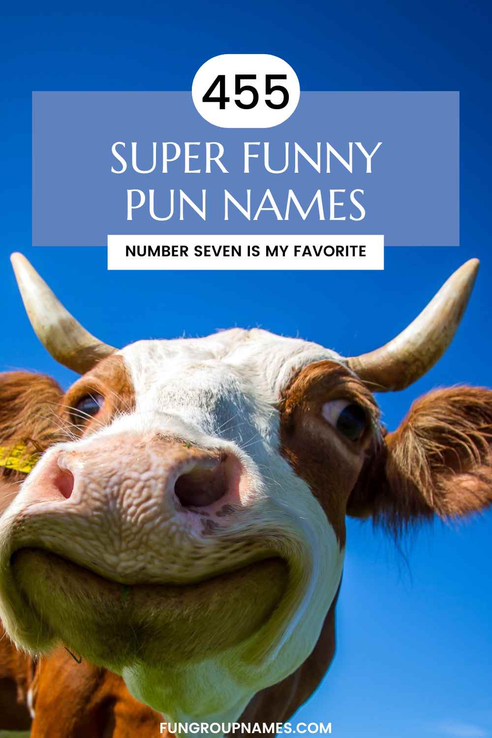 455 Pun Names That Will Crack You Up