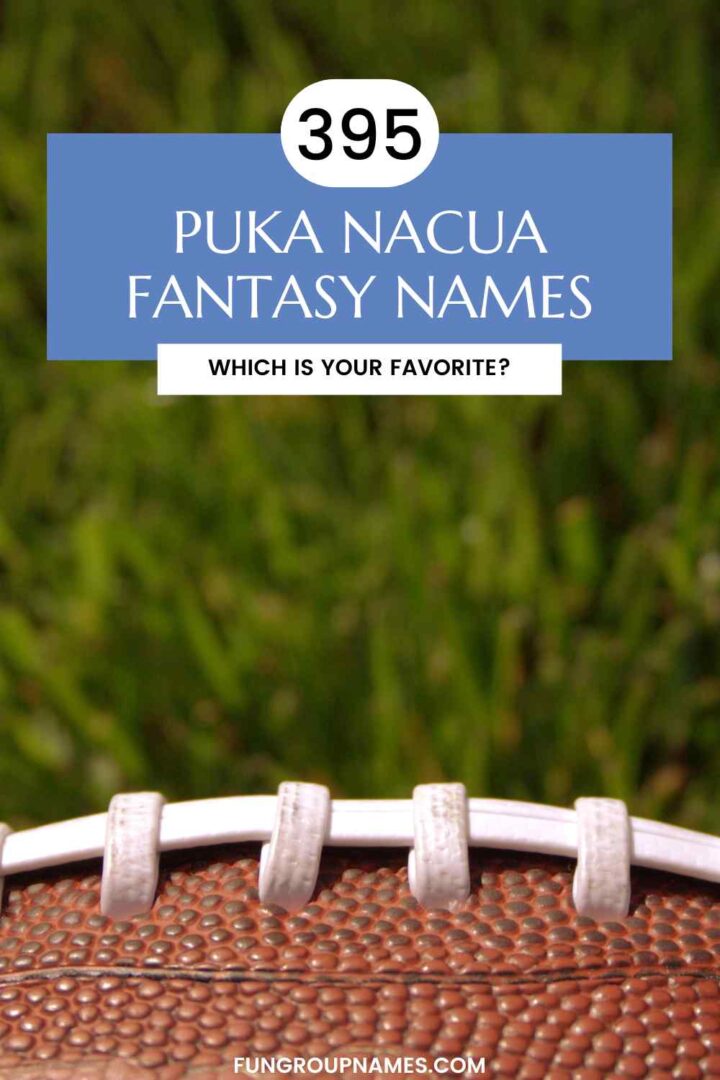 395 Puka Nacua Fantasy Names For The 2025-26 Season!